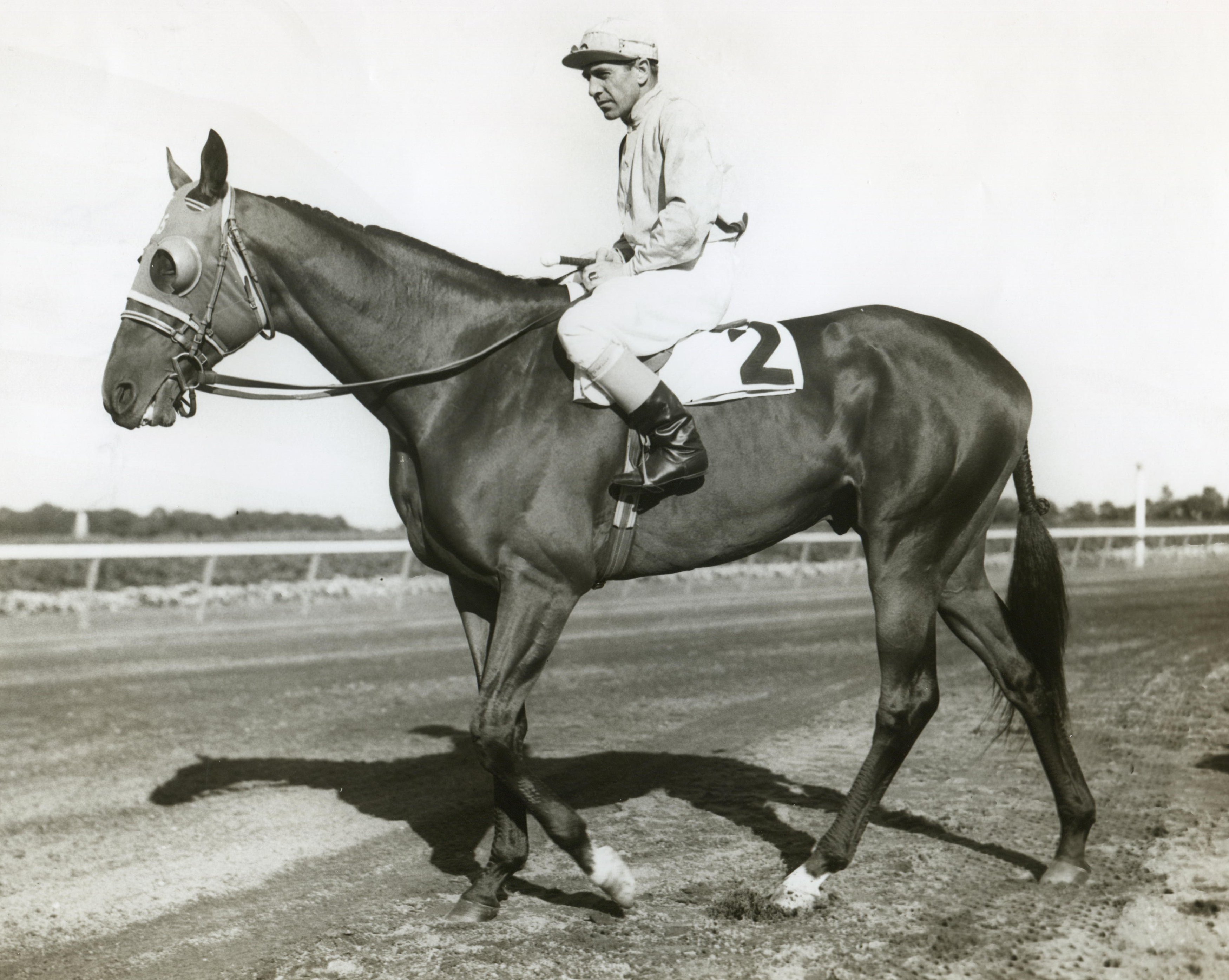 Alsab (KY) | National Museum of Racing and Hall of Fame